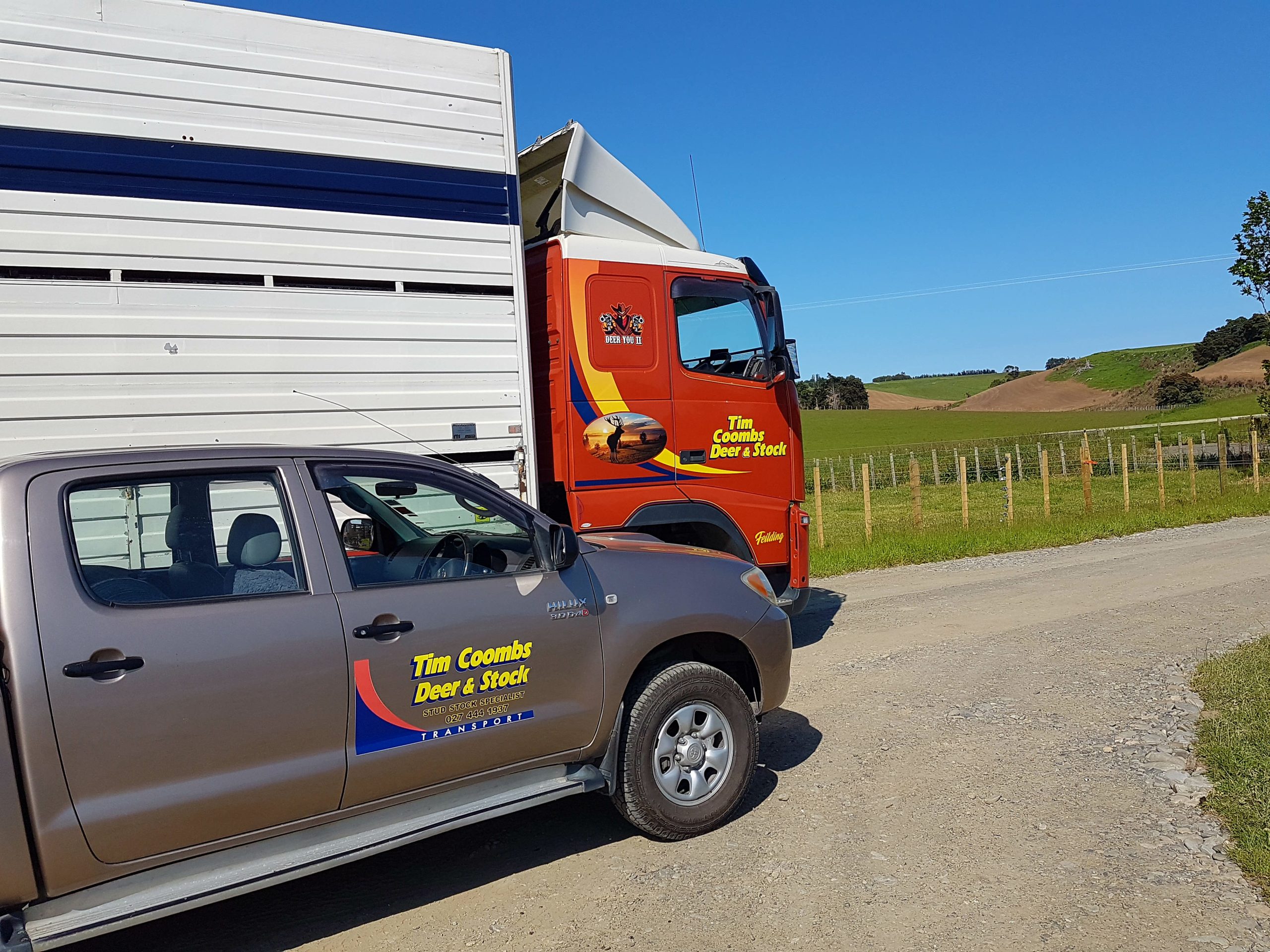 Tim Coombs Deer and Stock Transport