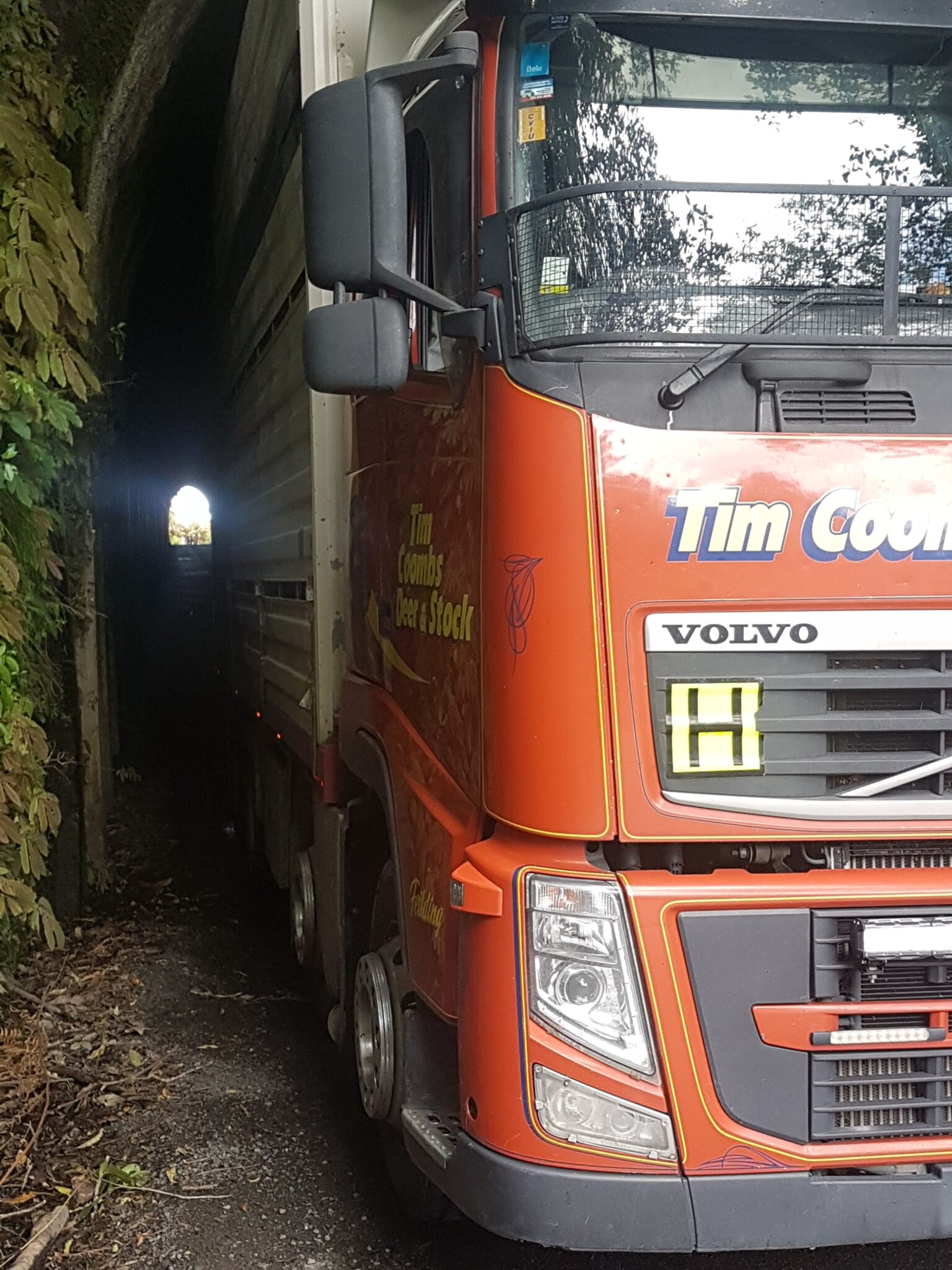Tim Coombs Deer and Stock Transport