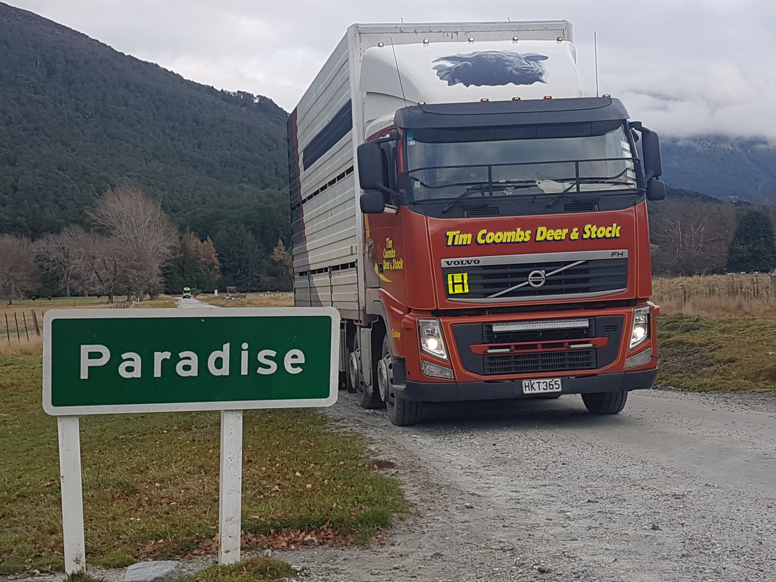 Tim Coombs Deer and Stock Transport