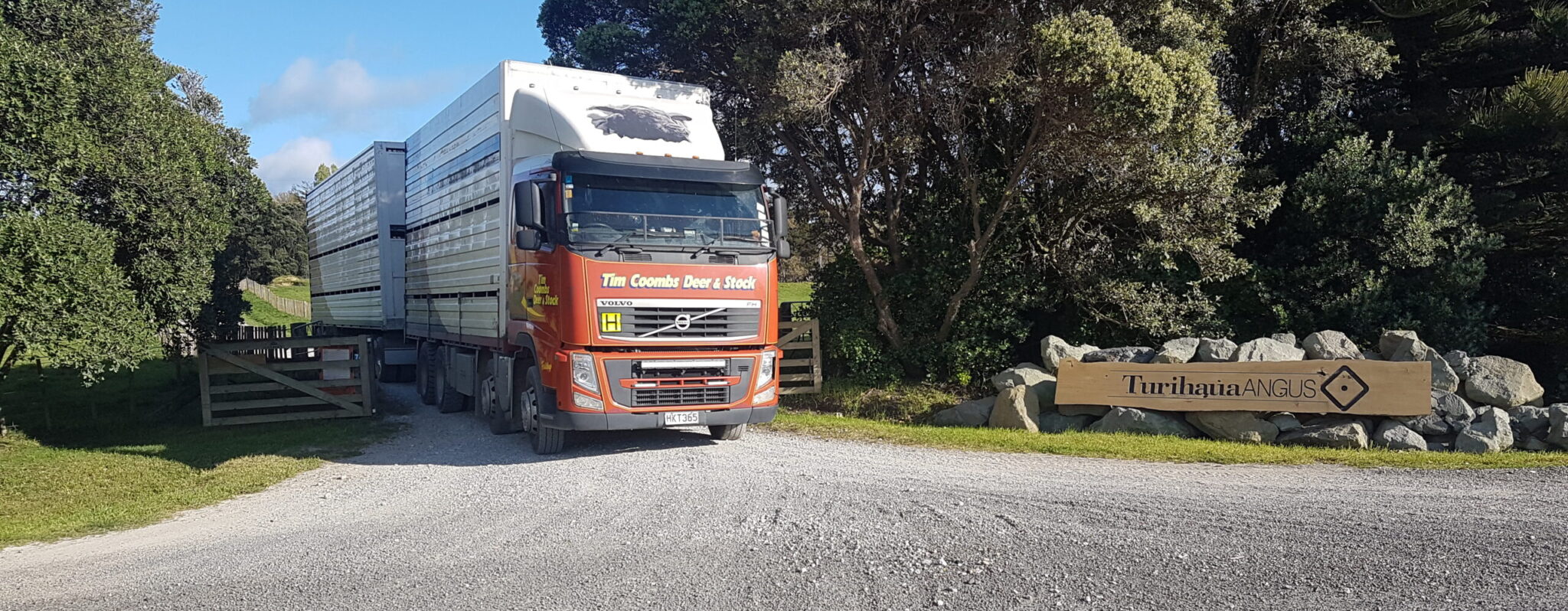 Tim Coombs Deer and Stock Transport